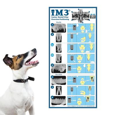 Canine Positioning Poster A3 - iM3 - Visiovet